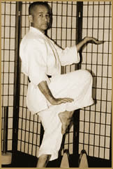 Seiko Seito Goju-Ryu Karate-Do Kyokai History